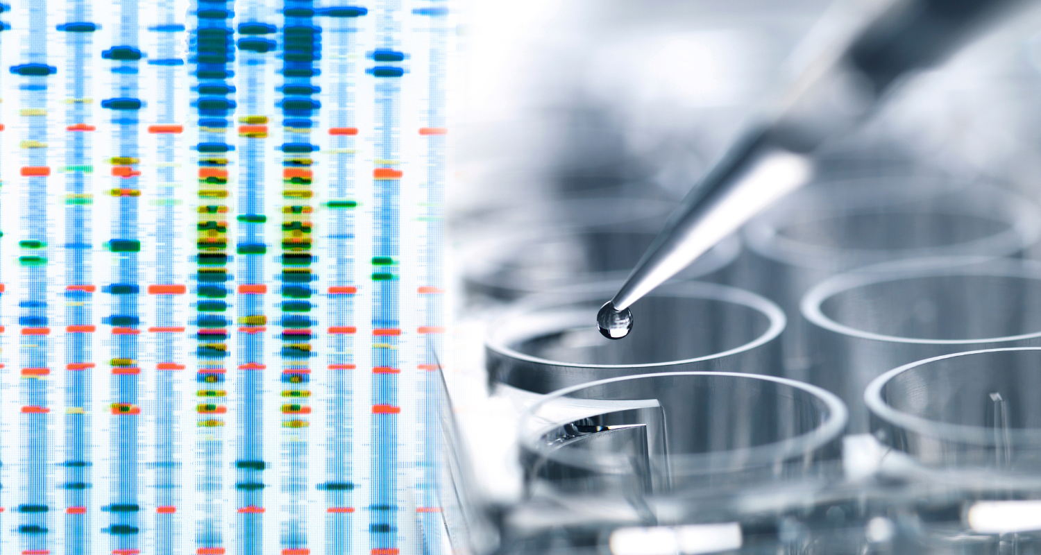 What Is Bioresonance Testing? Finding The Right Test For you? – Test My ...